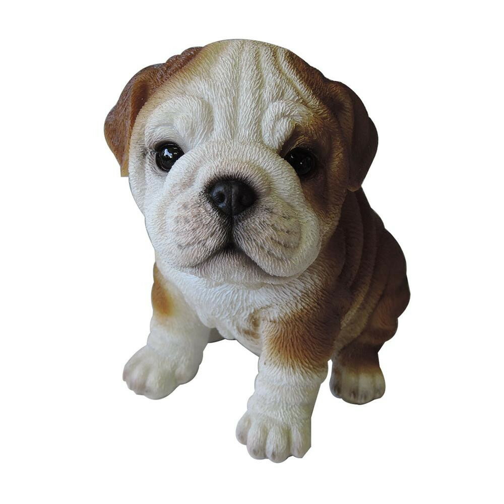 ※パッケージ、デザイン等は予告なく変更される場合があります。※画像はイメージです。商品タイトルと一致しない場合があります。ブルドッグのオブジェ。置いておくだけでお部屋の雰囲気が可愛らしくなります。サイズW135×H145×D160mm個装サ...