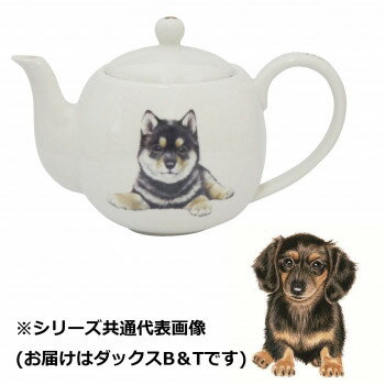 ※パッケージ、デザイン等は予告なく変更される場合があります。※画像はイメージです。商品タイトルと一致しない場合があります。緑茶も紅茶もOK。ステンレス茶こし付のポットです。ご自分用、プレゼントにもおすすめのかわいい丸型ポットです。サイズ縦1...