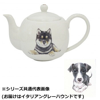 ※パッケージ、デザイン等は予告なく変更される場合があります。※画像はイメージです。商品タイトルと一致しない場合があります。緑茶も紅茶もOK。ステンレス茶こし付のポットです。ご自分用、プレゼントにもおすすめのかわいい丸型ポットです。サイズ縦1...