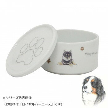 ※パッケージ、デザイン等は予告なく変更される場合があります。※画像はイメージです。商品タイトルと一致しない場合があります。重ねて収納しやすく、蓋はお皿としても使えるスタッカーです。蓋をしたまま、蓋なしでもスタックできます。ご自分用、プレゼン...