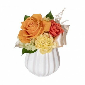 ※パッケージ、デザイン等は予告なく変更される場合があります。※画像はイメージです。商品タイトルと一致しない場合があります。小さなコロンとしたフォルムにかわいらしさと美しさを詰め込みました。サイズ品寸:W12×H13×D9cm、内箱:W12×...