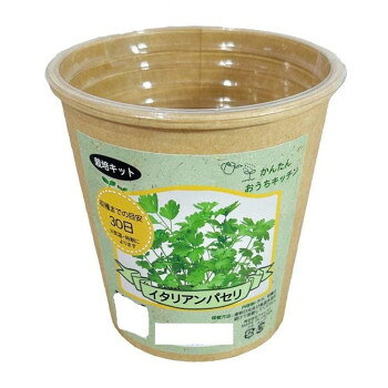 ※パッケージ、デザイン等は予告なく変更される場合があります。※画像はイメージです。商品タイトルと一致しない場合があります。イタリアンパセリの栽培が簡単に始められます。カップは穴あけの必要がなく、付属の水やり用の透明容器を使って適切な水やりが...
