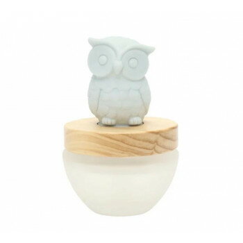 ※パッケージ、デザイン等は予告なく変更される場合があります。※画像はイメージです。商品タイトルと一致しない場合があります。インテリアにマッチする、可愛いフォルムのアロマディフューザーです。【香料】ライム&グリーン(シトラス:グリーンティー、...