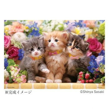 ※パッケージ、デザイン等は予告なく変更される場合があります。※画像はイメージです。商品タイトルと一致しない場合があります。子猫3匹がよりそっているかわいらしい写真のジグソーパズルです。サイズ38×26cm(完成時)個装サイズ：14×17×5...