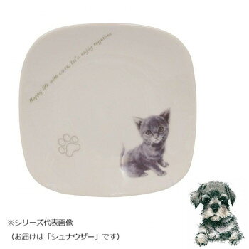 ※パッケージ、デザイン等は予告なく変更される場合があります。※画像はイメージです。商品タイトルと一致しない場合があります。おしゃれな角丸、深さのあるプレートです。ご自分用、プレゼントにもオススメになっております。サイズ縦15.4×横15.4...