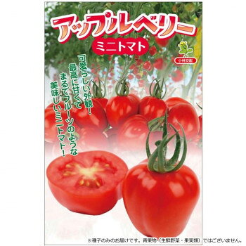 ※パッケージ、デザイン等は予告なく変更される場合があります。※画像はイメージです。商品タイトルと一致しない場合があります。珍しいベル型のミニトマト品種です。果重20g程度で糖度は10度前後、酸味が少なく、非常に美味しい。トマト特有の青臭さが...