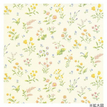 ※パッケージ、デザイン等は予告なく変更される場合があります。※画像はイメージです。商品タイトルと一致しない場合があります。野辺や山間(やまあい)に咲く小さな花ばなをモチーフにした優しい色調の包装紙です。※三つ折りの状態でポリ袋入れの商品にな...