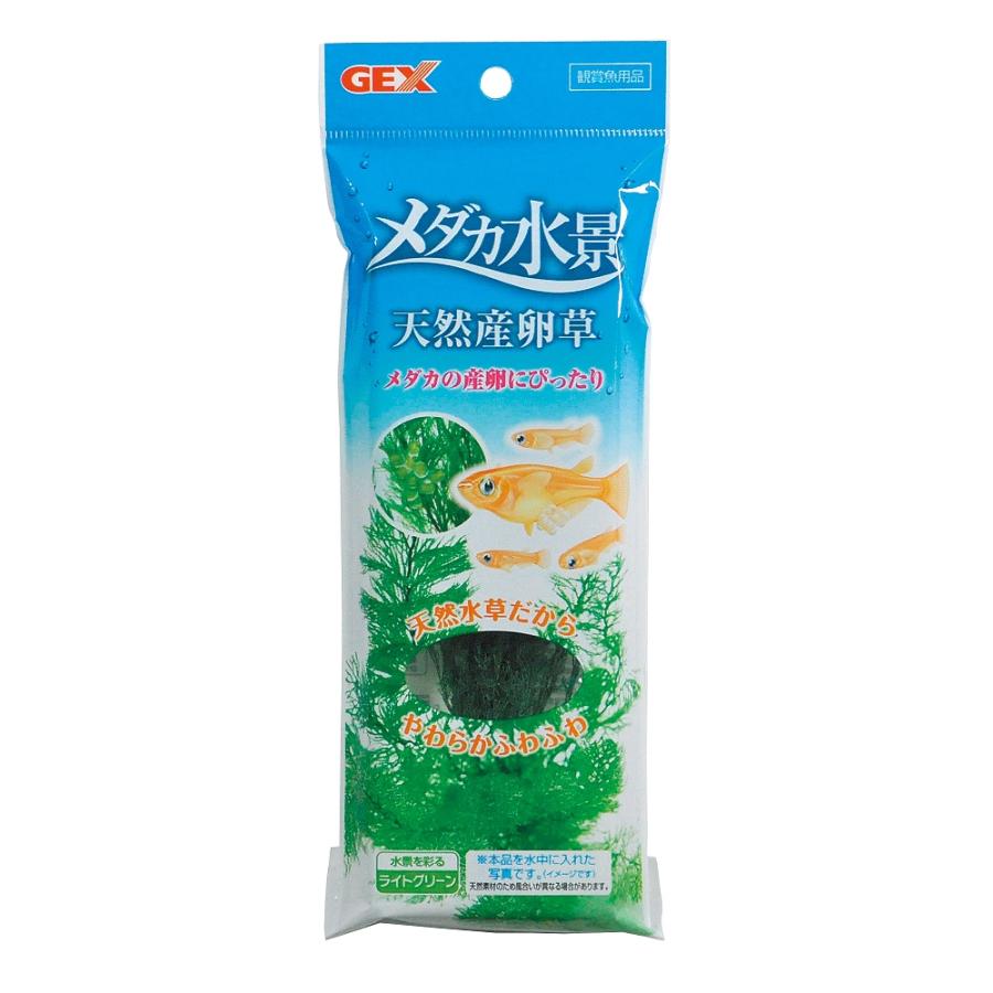 【※北海道・沖縄・離島は商品の発送を承ることができません。ご注文いただいた場合、キャンセルさせていただきます。】 ●天然シダを染色して乾燥させた、魚に優しい天然水草 ●柔らかい素材のため、メダカが卵を産み付けるのにも最適 ●おもり付きなので...