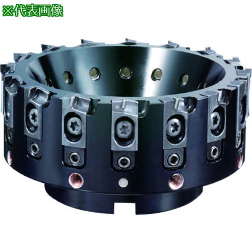 《メーカー》オーエスジー（株）《品番》PFAL04R125M25.4-10《特長》●アルミボディで驚きの軽さを実現します。●小型マシニングセンタでも使用できる豊富なラインナップを取り揃えています。《用途》《仕様》●外径(mm):125●刃数...