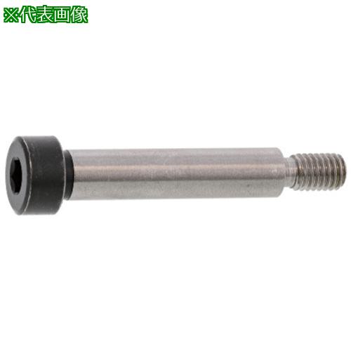 《メーカー》サンコーインダストリー（株）《品番》A0-00-6000-0100-0550-00-3《特長》《用途》《仕様》●寸法(mm)d:M10《仕様2》《原産国（名称）》日本《材質／仕上》●鉄（または標準）●表面処理:生地（または標準）...