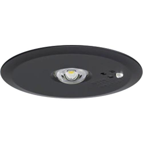 《メーカー》パナソニック　エレクトリックワークス（株）《品番》NNFB91645Z《特長》●LED化による高い省エネ性と施工性、火災や地震などによる停電時に安全な避難経路と明るさを確保します。《用途》《仕様》●光源色:昼白色●電源(V):1...