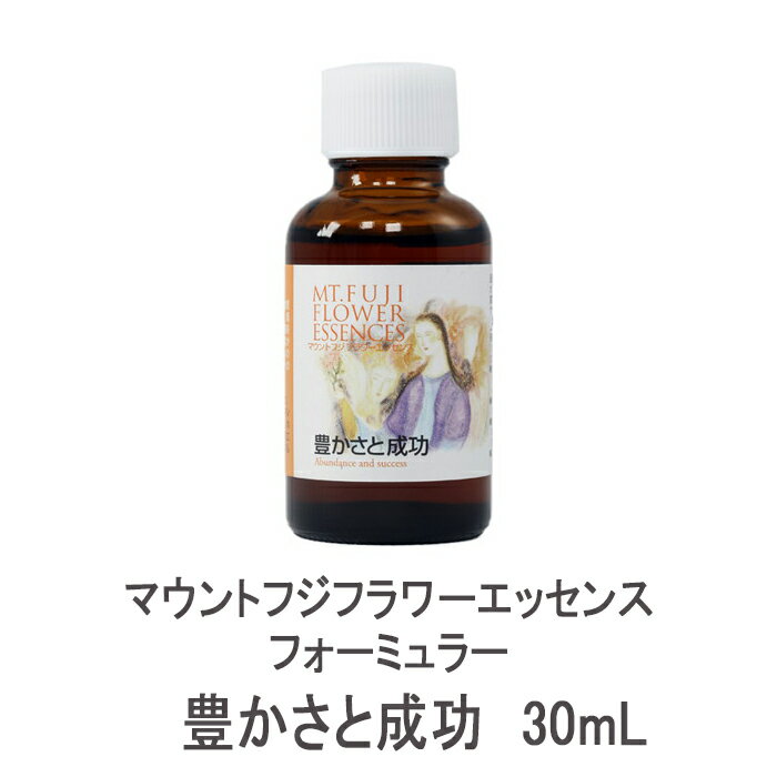 ■高い次元とつながって物質界の豊かさを受け取る。 　偶然、状況の好転、人間関係の広がり等、豊かさの実現に必要なものを招く。 　環境や人間関係を選び取る権利を思い出す。 　自己への信頼。 　意思力。 　楽天性、肯定性、天への明け渡し。 　高次...