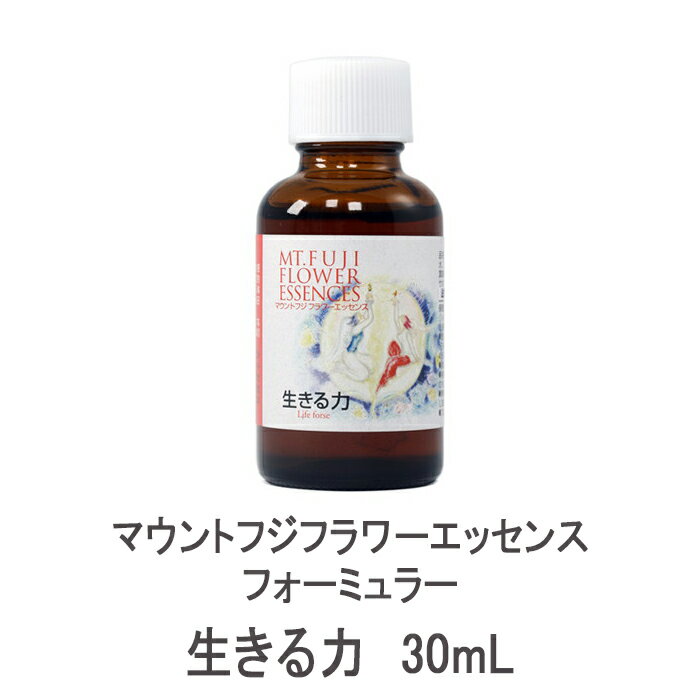 ■感じる事と考える事の一致。 　生きる喜びと感受性。 　仕事や勉学へのやる気を高める。 　肉体に根付く。 　エネルギーの修復と若返り。 　エーテル体と肉体の繋がりの強化。 　感動、意欲をもたらす。 　仕事や試験結果等、未来への肯定的な予感を...