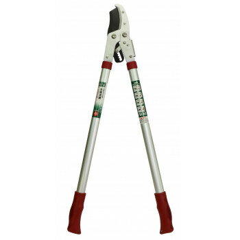 「送り先が、北海道・沖縄・離島 他、特殊地域の場合、ショップにて注文確認後に別途追加送料をご案内させていただく場合がございます。」「お客様都合でのキャンセルの場合、出荷前後にかかわらずキャンセル料などの手数料が発生いたしますので予めご了承く...