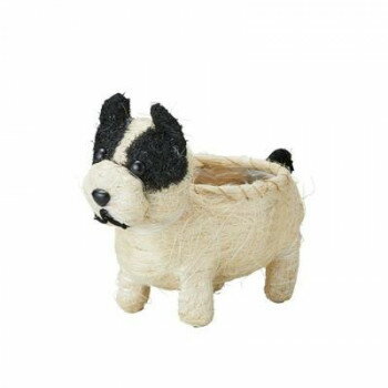 「送り先が、北海道・沖縄・離島 他、特殊地域の場合、ショップにて注文確認後に別途追加送料をご案内させていただく場合がございます。」「お客様都合でのキャンセルの場合、出荷前後にかかわらずキャンセル料などの手数料が発生いたしますので予めご了承く...