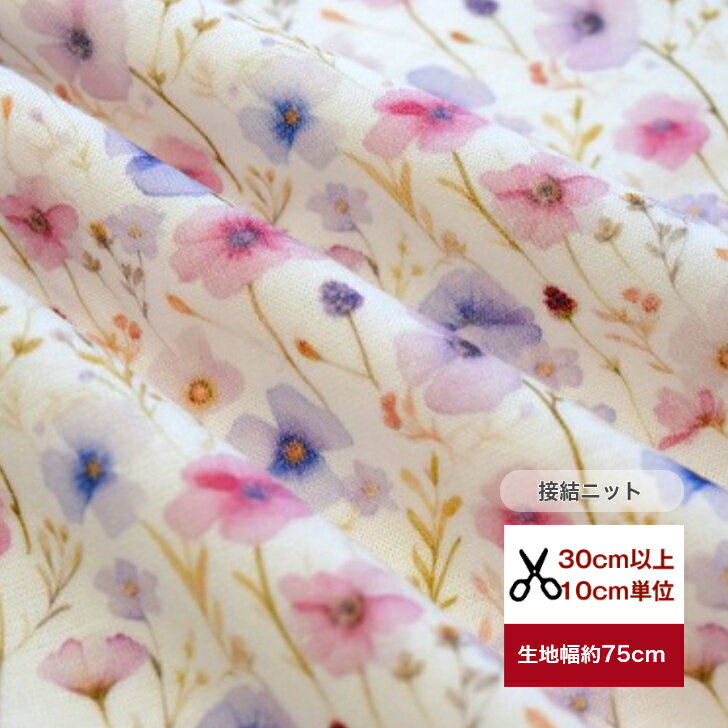 商品情報素材/材質コットン100%接結ニットその他商品説明*生地幅約70cm*150センチまでメール便対応です。*ご注文は「3」30センチからです。「1」「2」でのご注文はキャンセルとなりますのでご了承ください【例】50cmご入用の場合・・...