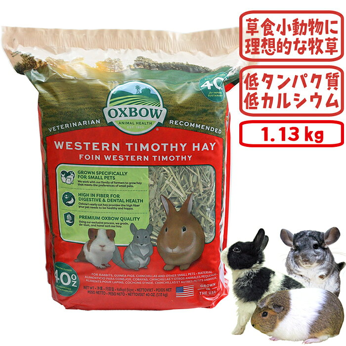うさぎ、モルモット、チンチラ、デグー、プレーリー用 メーカー：OXBOW 内容量：1.13kg ■保証分析結果 粗タンパク質：7.00％以上 粗脂肪：1.50％以上 ADF繊維質：32.00％以下 水分：15.00％以下 ■原料 ティモシー...
