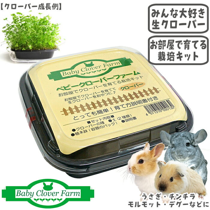 うさぎ、モルモット、チンチラ、プレーリー、デグー用 メーカー：株式会社BWH ※無地梱包についてベビーチモシーファーム ベビーチモシーファーム＜3個セット＞ ベビークローバーファーム＜3個セット＞ クローバーの栽培に必要な物がそろった「クロ...