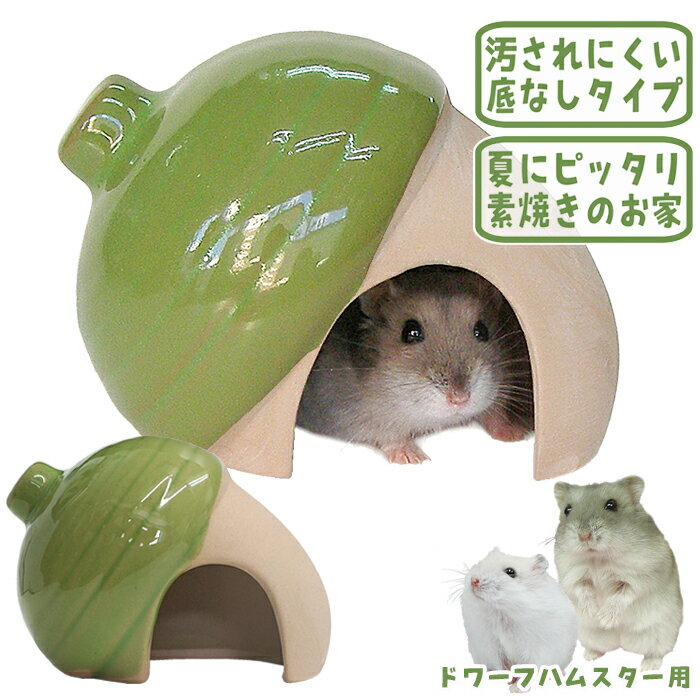 ハムスター用 メーカー：サンコー（SANKO） サイズ：約幅107x奥行95x高さ80mm ※焼き物のため、サイズには個体差がございます。 　目安のサイズとなっておりますことご了承くださいませ。 ■材質　土 ※無地梱包についてジャンガリアン...