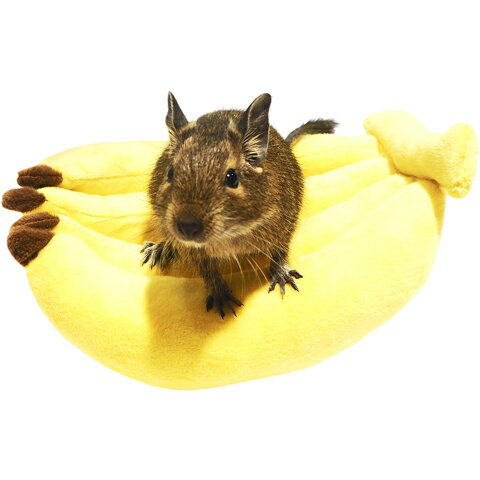 デグー、モルモット用 メーカー：レインボー サイズ：約幅200×奥行150×高さ40mm ■素材　ポリエステル ※無地梱包について今までにない、立体感のあるおいしそうなバナナ♪ 厚みのあるふわふわ感でゆっくり休めるベッドです。 ほんものみた...