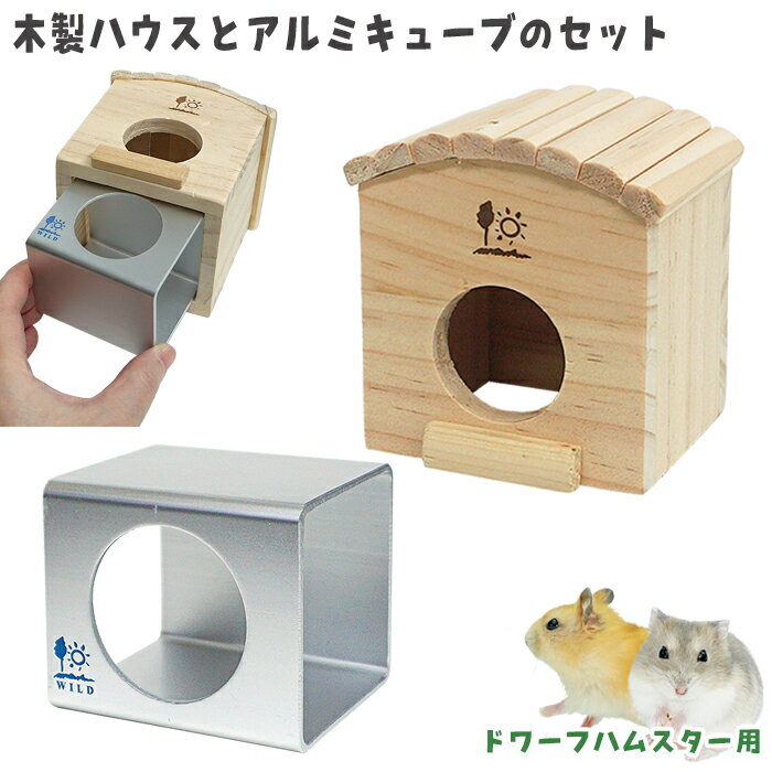 ドワーフハムスター用 メーカー：サンコー（SANKO） 【ひんやり涼感キューブ】 サイズ：幅65x奥行55x高さ55mm ※この製品は放熱を補助するもので、本体自体が冷却されるものではありません。 　本品を直射日光に当る場所に置いたり、閉め...