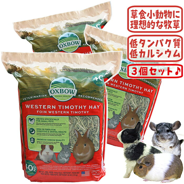 うさぎ、モルモット、チンチラ、デグー、プレーリー用 メーカー：OXBOW セット内容：ウエスタンチモシー1.13kg 3個セット【合計：3.39kg】 ■保証分析結果 粗タンパク質：7.00％以上 粗脂肪：1.50％以上 ADF繊維質：32...