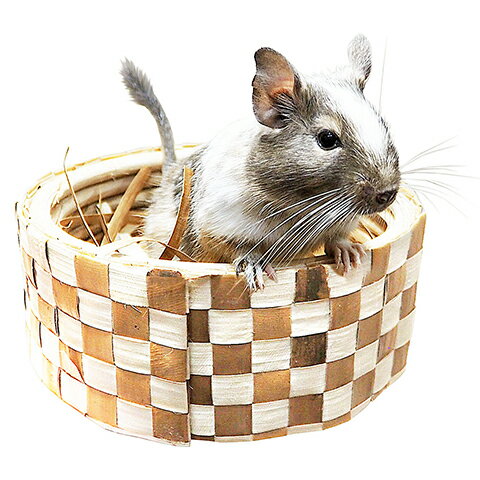 モモンガ、デグー用 メーカー：レインボー サイズ：約直径160mm×高さ70mm ■原材料　天然木、ココナッツリーフ ※天然の素材を使用しておりますのでサイズや形状、質感等にばらつきがございます。 ※無地梱包についてデグーちゃん用にほどよい...