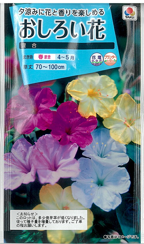 「夕涼みに花と香りを楽しめる」 花径約3センチの香りのよい花が夕方に開き、朝には閉じる夜咲き性の草花です。一日花ですが、夏から秋まで咲き続けます。タネをつぶすとおしろいのような粉になるのが、この花の名前の由来です。 ●発芽温度：20℃前後 ...