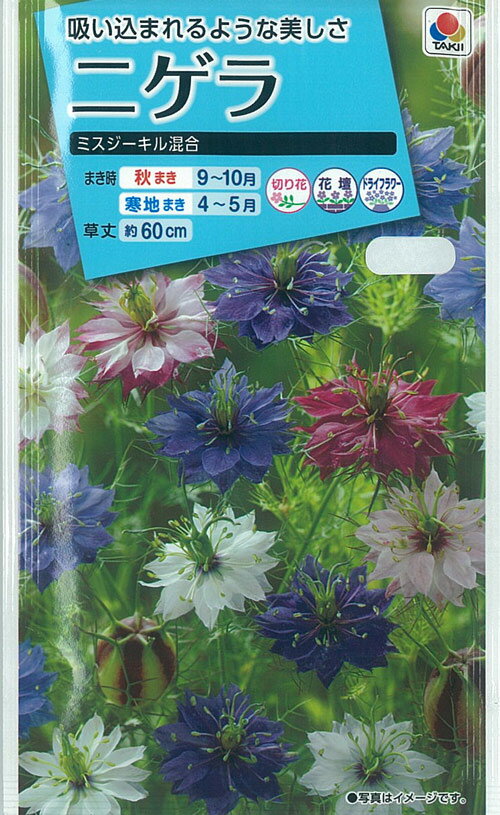「花が散ればドライフラワーに！」 草丈50〜60センチの耐寒性一年草で、花径4〜5cmの千鳥草に似た花を1茎に1花づつ咲かせ、葉は深く切れ込みます。実は風船のようにふくれ、ドライフラワーにできます。 ●学名：Nigella　damascen...