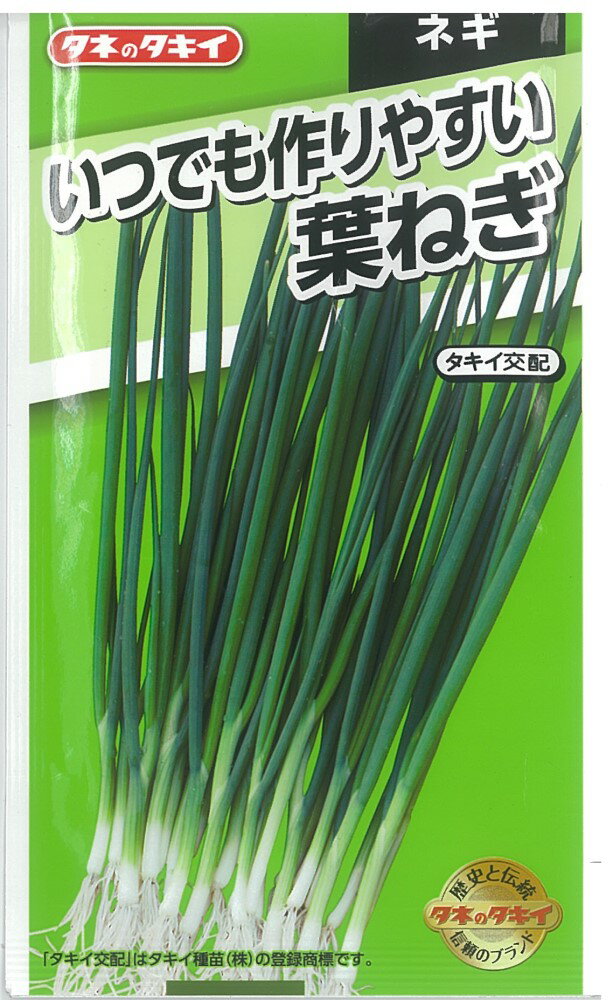●特徴： ・葉が細く立性で伸びがよく、小ネギ～中ネギに最適 ・葉質は柔らかく、風味に優れる ・冬場の寒さに強く、周年栽培が可能