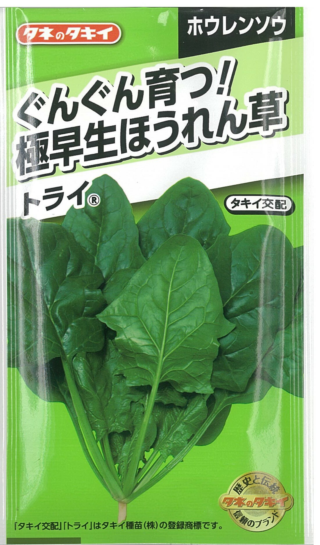 ・低温期の生育にすぐれる冬どり本命種 ・葉は鮮緑色で、2〜3段の浅い切れ込みがある剣葉種 ・草姿は立性で、株張り、株ぞろいにすぐれる ●発芽適温：15〜20℃ ●まきどき：1〜3月、9〜11月 ●収穫期：3〜4月、10〜2月