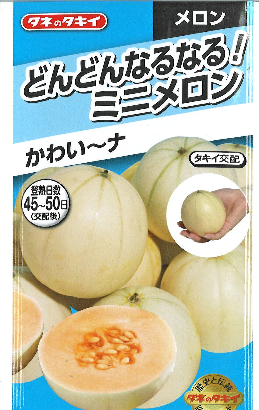 おいしさひとりじめ！かわいいミニメロン ●発芽適温：25〜30℃ ●まきどき：関東標準　3〜4月（発芽温度の要確保） ●収穫期：関東標準　7〜8月 ●特徴： ・1果重250〜300g程度で1株から10〜20果の収穫が可能な多収種 ・果肉はサ...