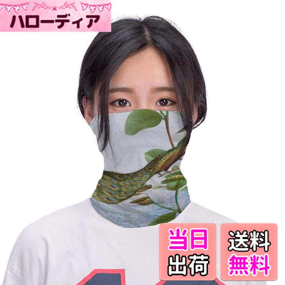 商品情報商品の説明紙箱入2HD。フォーマット：Windows。。。。主な仕様 品番：2HDV40EC