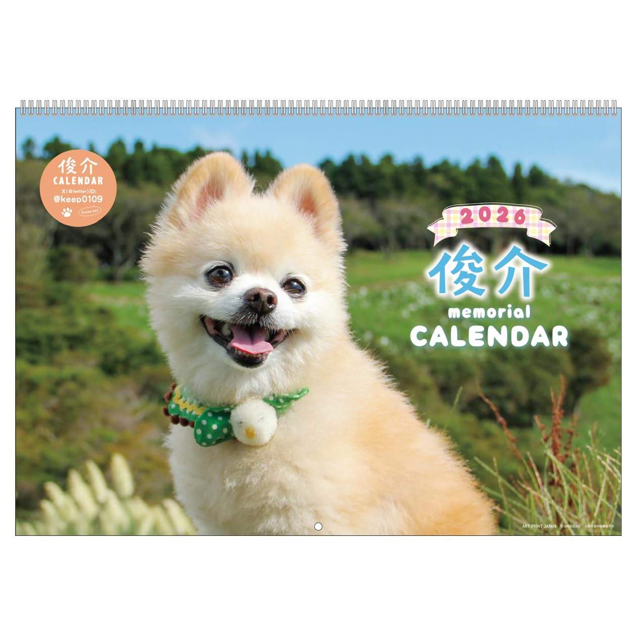 商品情報商品の説明ぬいぐるみのようなかわいさが大人気の柴犬カットのポメラニアン・俊介のカレンダーです。主な仕様 ぬいぐるみのようなかわいさが大人気の柴犬カットのポメラニアン・俊介のカレンダーです。サイズ：257x364mm13枚つづりリング仕様