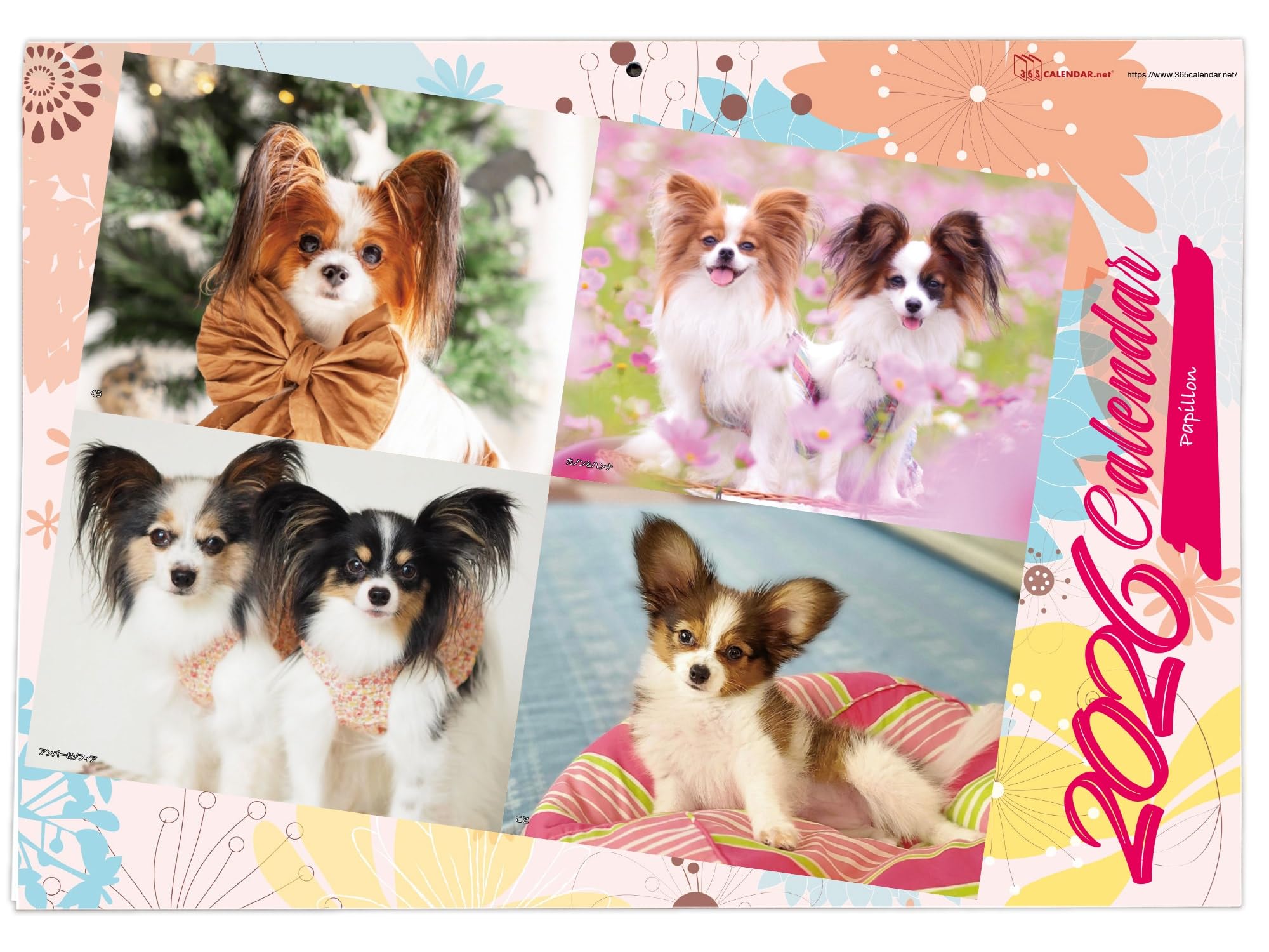 商品情報商品の説明365カレンダーとは、ワンちゃん好きやネコちゃん好きなど、ジャンルごとに仲間と協力し365日分の写真が集まるとオリジナルカレンダーとして作成＆販売されるカレンダーです。 全国各地から集まった「パピヨン」が365日掲載されて...