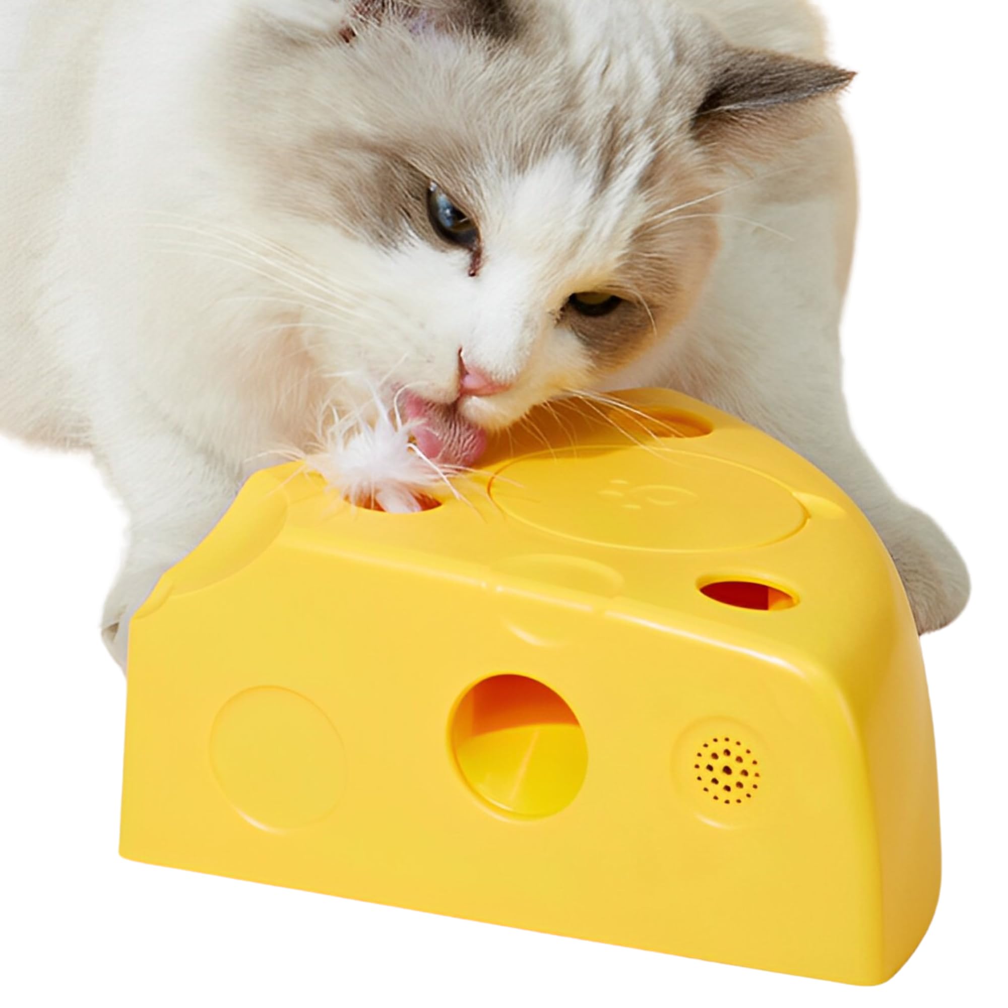 商品情報商品の説明主な仕様 電源: 単3形電池3本使用（電池は付属していません）。付属品：交換用羽根1個（当商品には、羽が本体に装着されており、さらに交換用の羽1本が付属しています。）音声効果: 楽しい音が猫の好奇心を刺激し、一人遊びでも退...