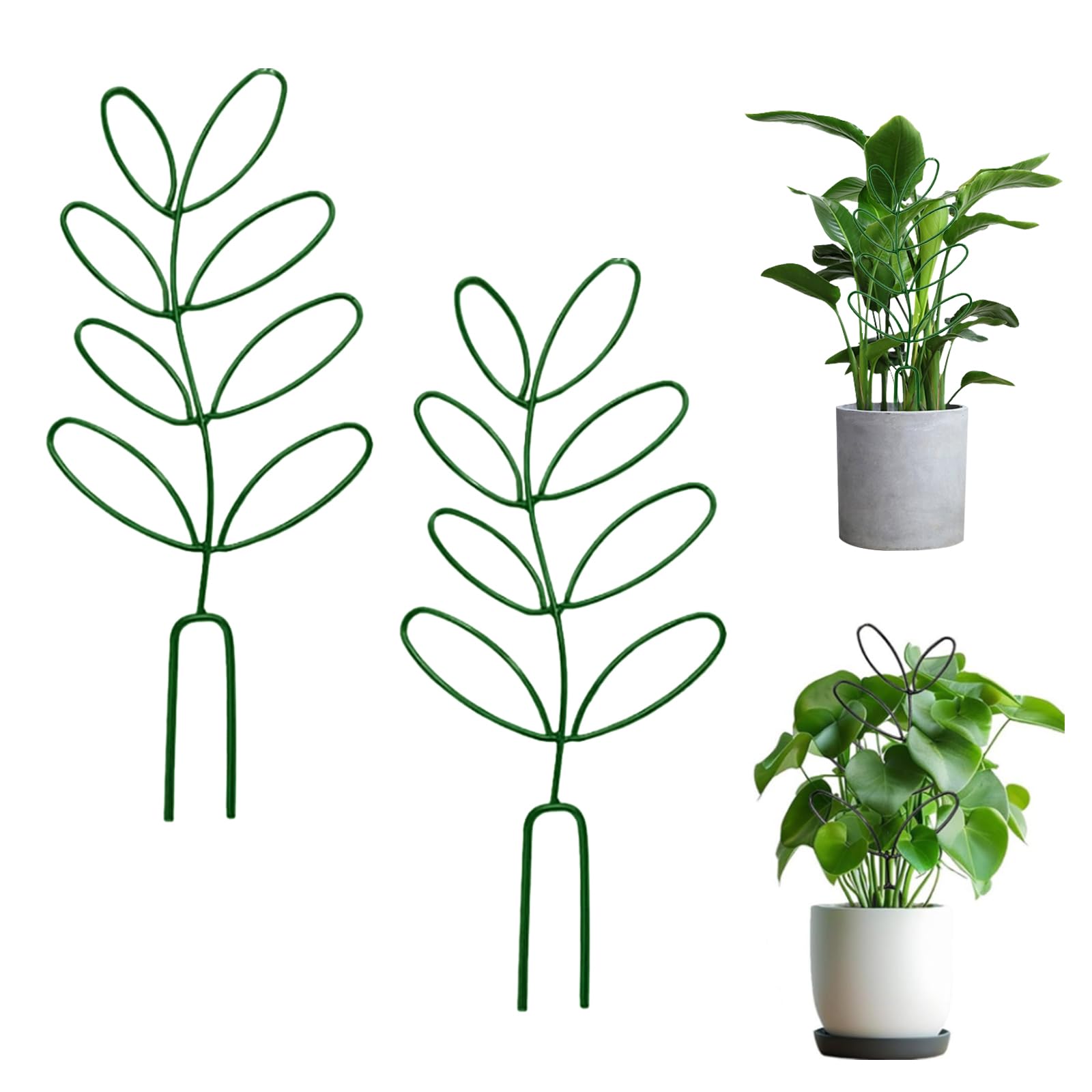 商品情報商品の説明大根やツタなどのつる植物から、多肉植物や小型観葉植物など、補助的なサポートが必要な緑植物まで、様々な植物の種類に適しています。家庭のバルコニー、室内の鉢植え、中庭の庭園など、優れたサポートと装飾を提供します。葉の形は絶妙で...