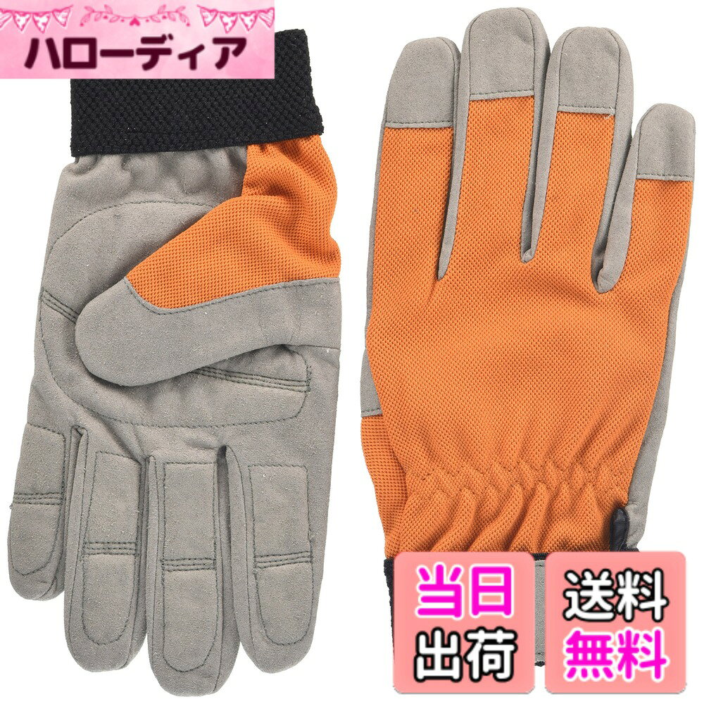 商品情報 商品の説明 クロロプレンゴムで振動軽減 通気性伸縮性に優れたメッシュ素材 刈払機やチェンソーなど、振動工具の作業に最適な振動低減手袋 主な仕様 サイズ:L # 【送料無料】HiKOKI(ハイコーキ) 振動低減手袋 Lサイズ 防振 ...