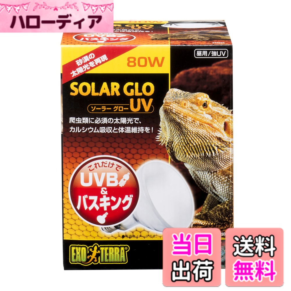 商品情報商品の説明商品紹介 これだけでUVB&バスキング! 砂漠の太陽光を再現 爬虫類に必須の太陽光で、カルシウム吸収と体温維持を。 砂漠サバンナに棲息する昼行性の爬虫類にとって最適な紫外線(UV)を照射すると同時に、バスキングエリアを作る...
