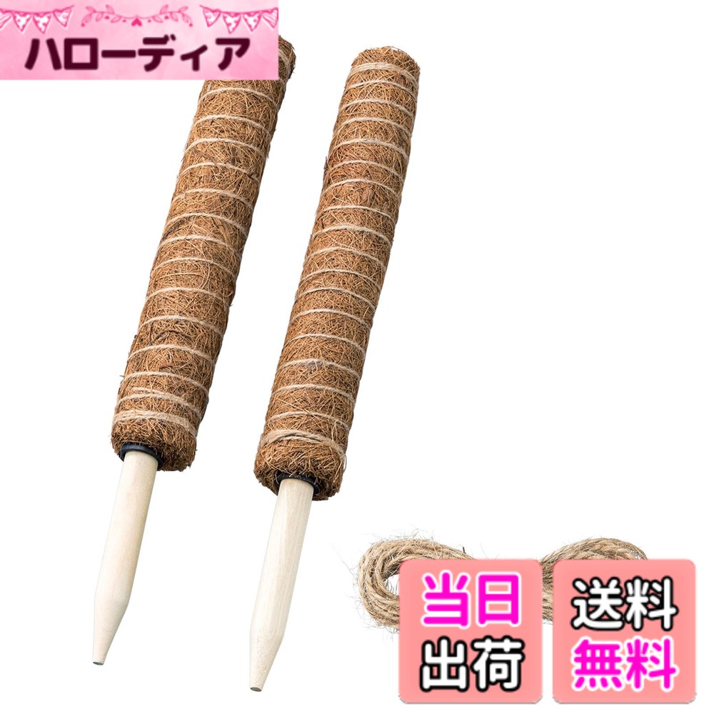 商品情報商品の説明商品紹介 植物のツルや、モンステラ等の葉っぱを固定する支柱。 仕様/2本組 サイズ/約4.5x40cm 個装サイズ/約40x12x5cm 個装重量/255g 付属品/ヒモ 素材・材質/ココヤシ繊維 安全警告 慎重に取り扱っ...