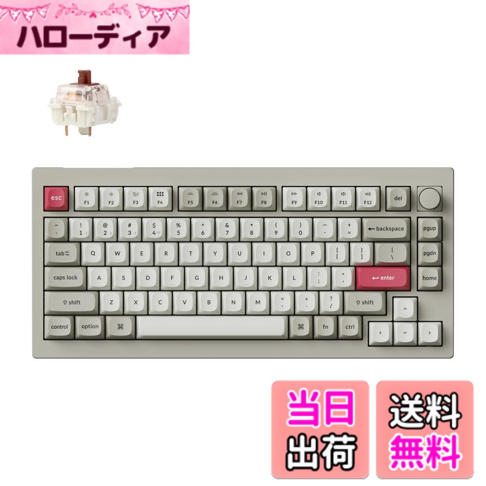 商品情報商品の説明主な仕様 人気のV1 MaxにRetroカラーが登場！Keychron V1 Maxはカスタマイズ可能なメカニカルキーボードで、2.4GHzワイヤレスとBluetooth 5.1の両方に対応しています。コンパクトな75%レ...
