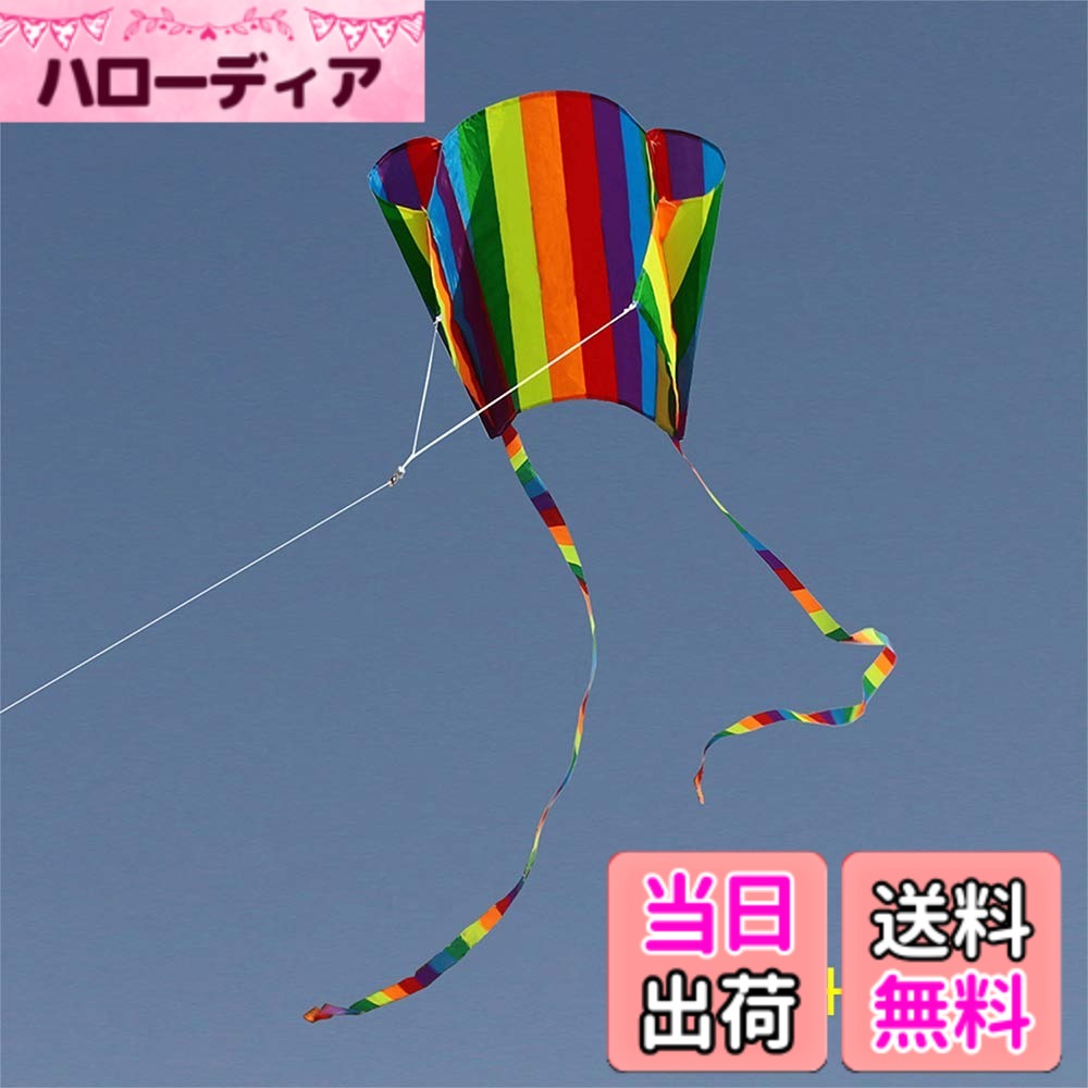 商品情報商品の説明主な仕様 【高品質】カイトは高品質の耐引裂性ポリエステル生地で作られています。軽量で耐風性に優れています。 30Mの凧糸は耐久性に優れたポリエステル素材を作って、ハンドルも耐久性の高い素材を製作しています。【組み立てが簡単...