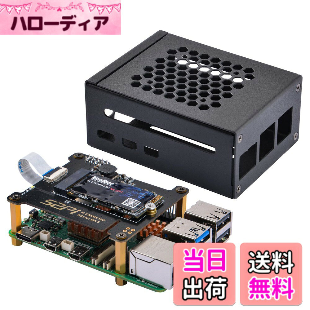 商品情報商品の説明主な仕様 【互換性】このキットには、メタルケース、N05 M.2 Key-M NVMe SSD PCIe ペリフェラルボード、公式アクティブクーラー、PD 27W 電源アダプターが含まれています。 最新のRaspberry...