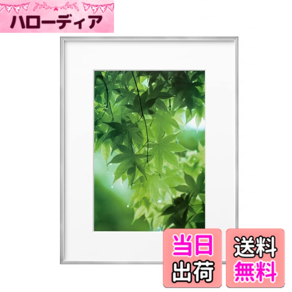 商品情報商品の説明軽くて割れないZEROフレーム。 前面板はガラスを使っていないので従来の額縁より軽くて割れる心配もないので安心です。 細身のフレームにVカット※ワイドマットが、お写真を引き立てます。（※Vカット：中抜きの断面を斜めにカット...