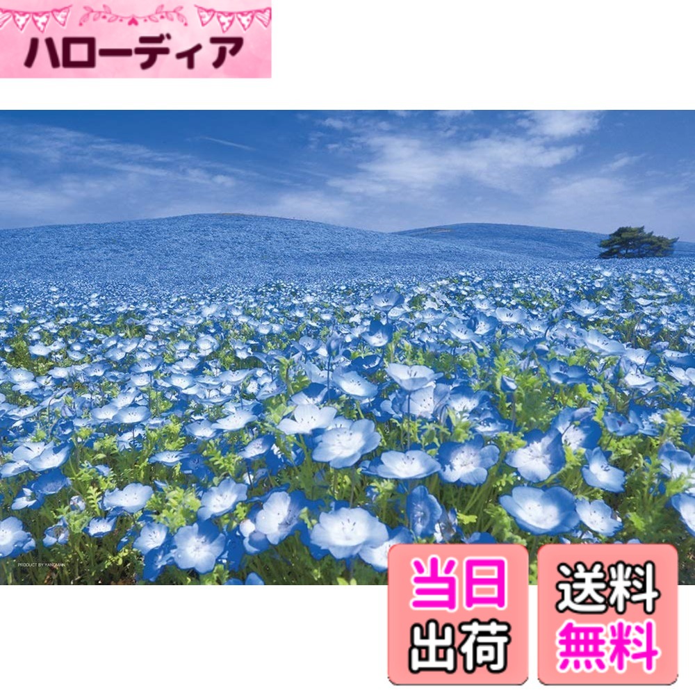 商品情報 商品の説明 商品紹介 まるで空と地上を繋ぐように丘一面に咲くネモフィラを映した絶景。 海外からも注目を受ける新名所の「みはらしの丘」にて撮影され一枚。 ネモフィラの見頃は4月末から5月とされており、大型連休に多くの観光客が訪れる。...