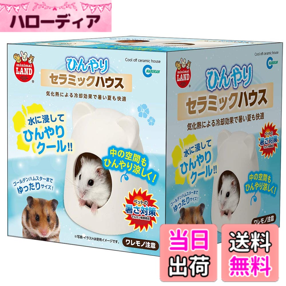 商品情報商品の説明商品紹介 たっぷり水を吸収する多孔質のハウスで、気化熱の効果により中がひんやり涼しくなります。耳付きの可愛いハムスター型で、ゴールデンハムスターも入れるゆったりサイズ。 原材料・成分 セラミック主な仕様 本体サイズ (幅X...