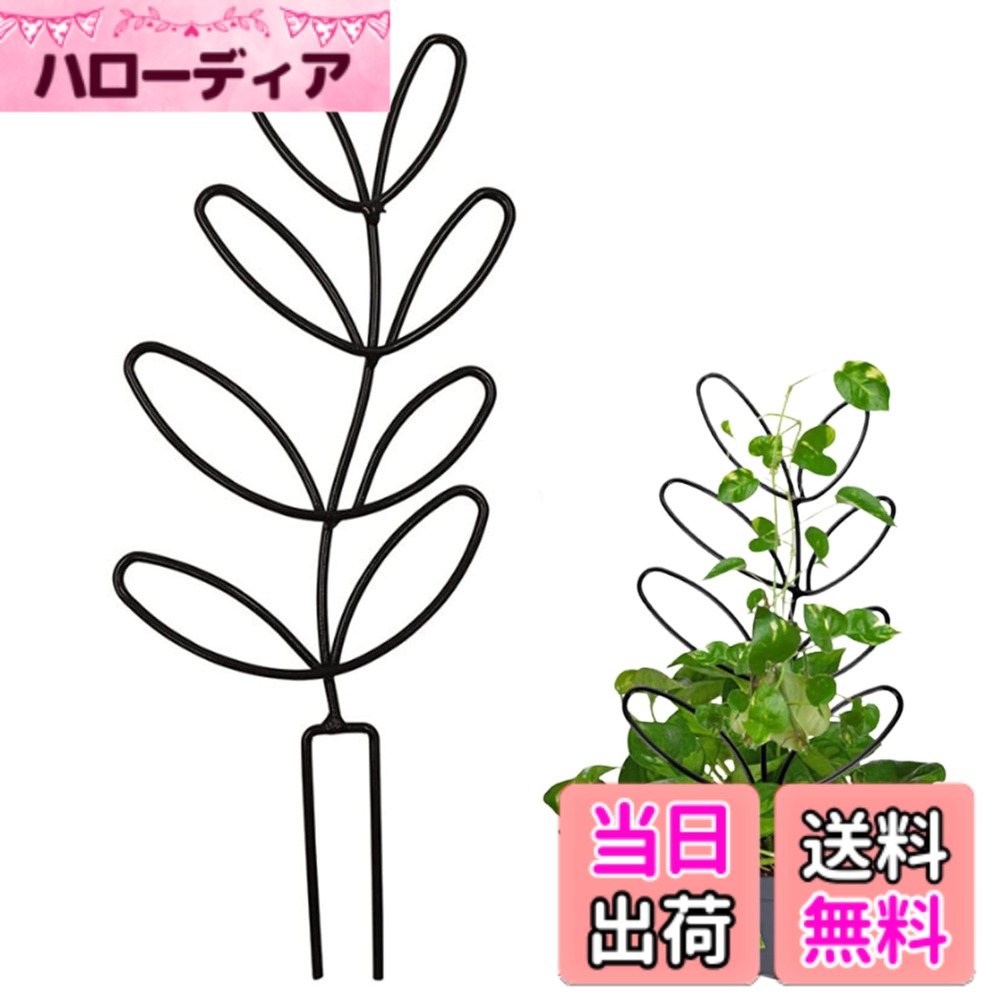 商品情報商品の説明商品の説明 セット内容：植物支柱1セット、サイズ：約14.5*31.5cm。（寸法は人工測定で誤差がある場合がありますのでご了承ください。）カラー：ブラック。 安全警告 慎重に取り扱ってください。尖った先端は傷つけます。地...
