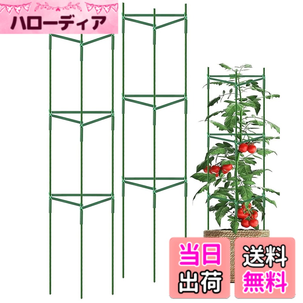 商品情報商品の説明商品の説明 安定した三角形デザインで植物の成長をしっかりサポート！ - 植物支柱 2個セット 「おすすめ理由」 支柱は三角形の構造になっており、安定性が非常に高いです。 観葉植物や観賞植物だけでなく、トマト、きゅうり、ピー...