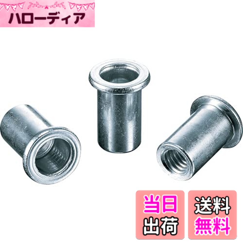 商品情報商品の説明●エビナットはナットとリベットの両方の長所を兼ねそなえた、ブラインドファスナーです。●タップ立ての難しい薄板やパイプ、角パイプ、溶接のできないプラスチック板にも、片側からワンアクションで簡単に、仕上がりも美しく取り付けられ...