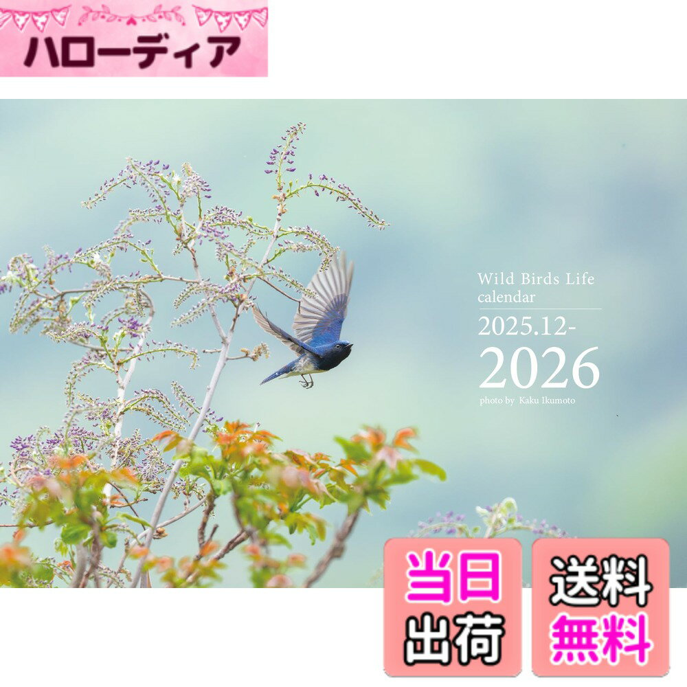 商品情報商品の説明写真家・生本覚が捉えた野鳥たちの魅力的な瞬間を楽しめる2026年版壁掛けカレンダーです。A3サイズ（420x297mm）の見開き形式で、毎月異なる野鳥の生き生きとした表情や姿を収録しています。メジロやブッポウソウなど、日本...